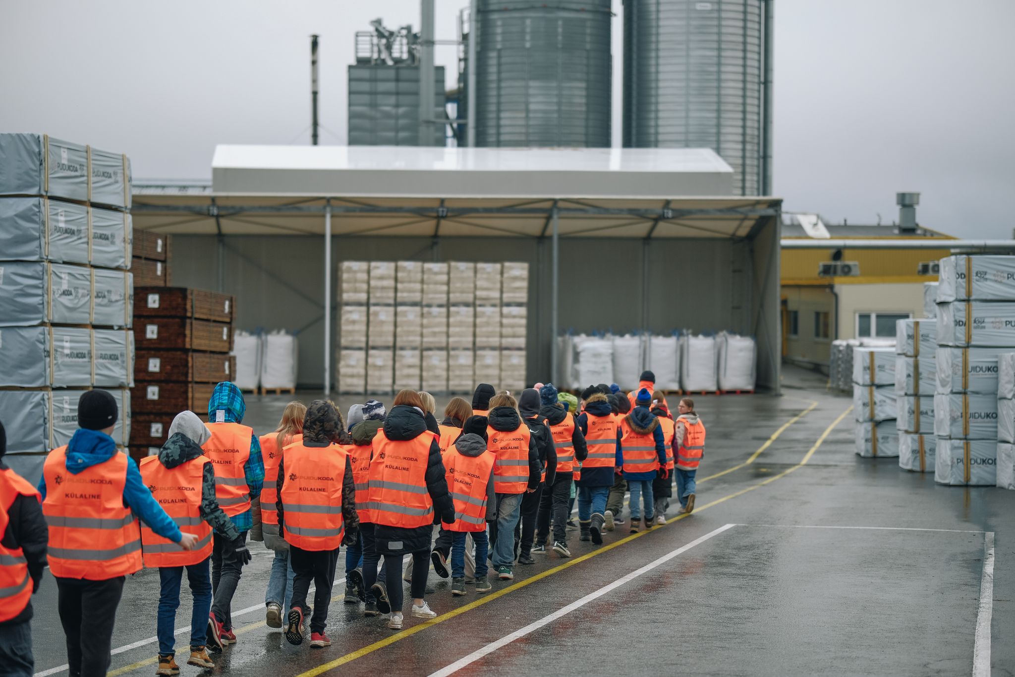 Young students from Saarepeedi, Kalmetu, and Holstre schools visiting ...